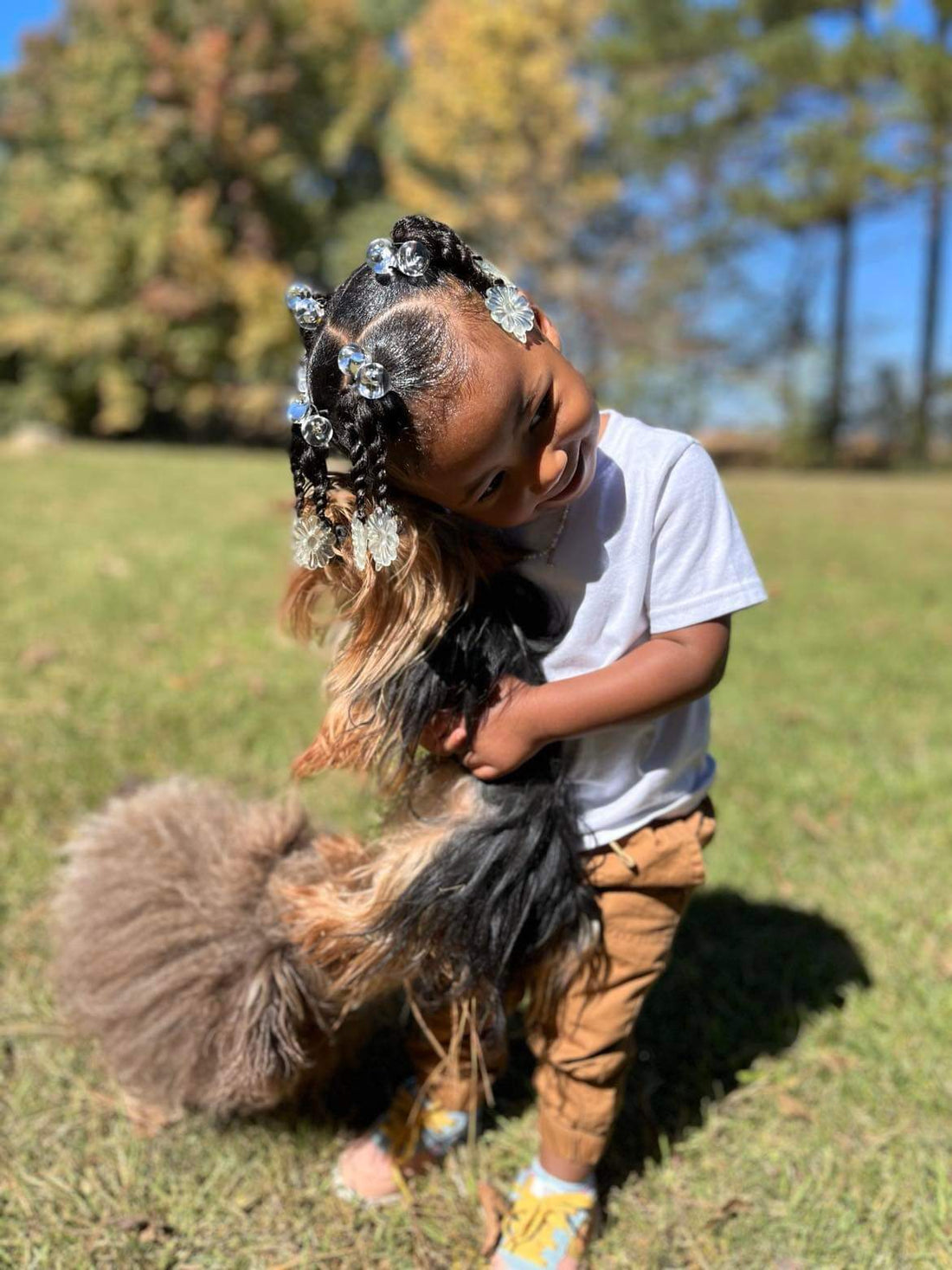 UniqueBabyDollYorkies.com